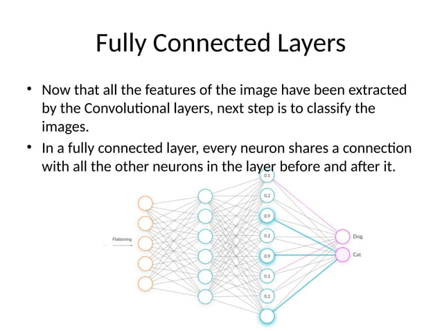 Basic Introduction to Convolutional Neural Network.pptx