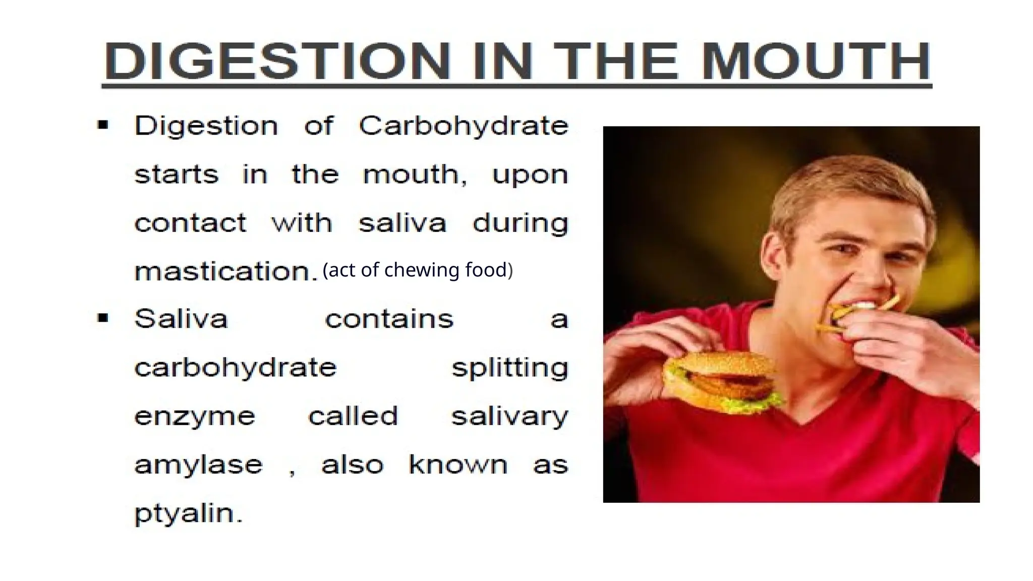 DPT - Biochemistry & Genetics - II (Metabolism of Carbohydrates ...