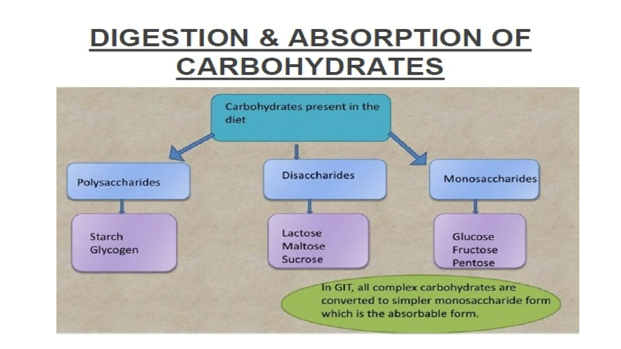 DPT - Biochemistry & Genetics - II (Metabolism of Carbohydrates ...