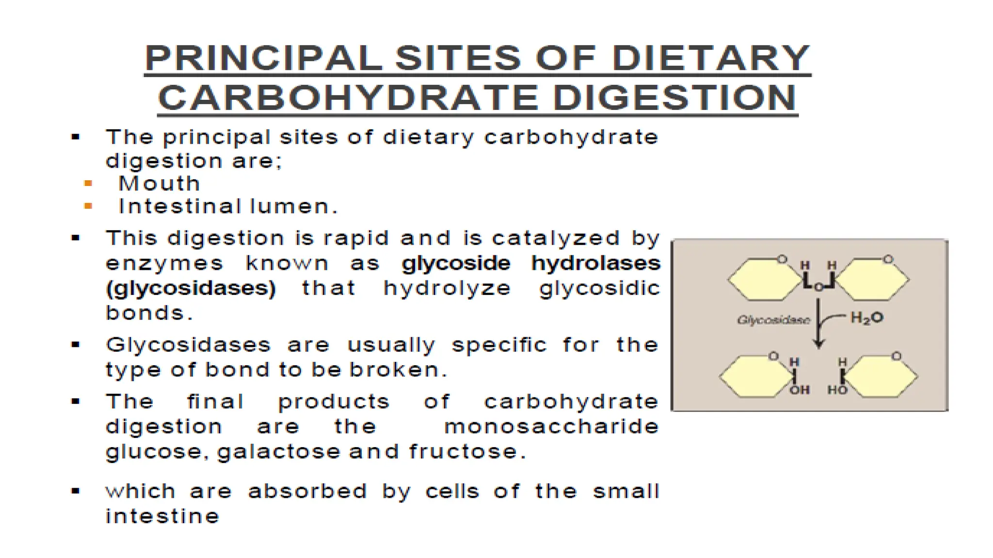 DPT - Biochemistry & Genetics - II (Metabolism of Carbohydrates ...