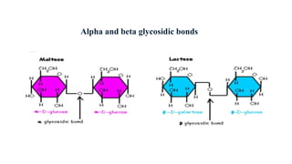 DPT - Biochemistry & Genetics - II (Metabolism of Carbohydrates ...