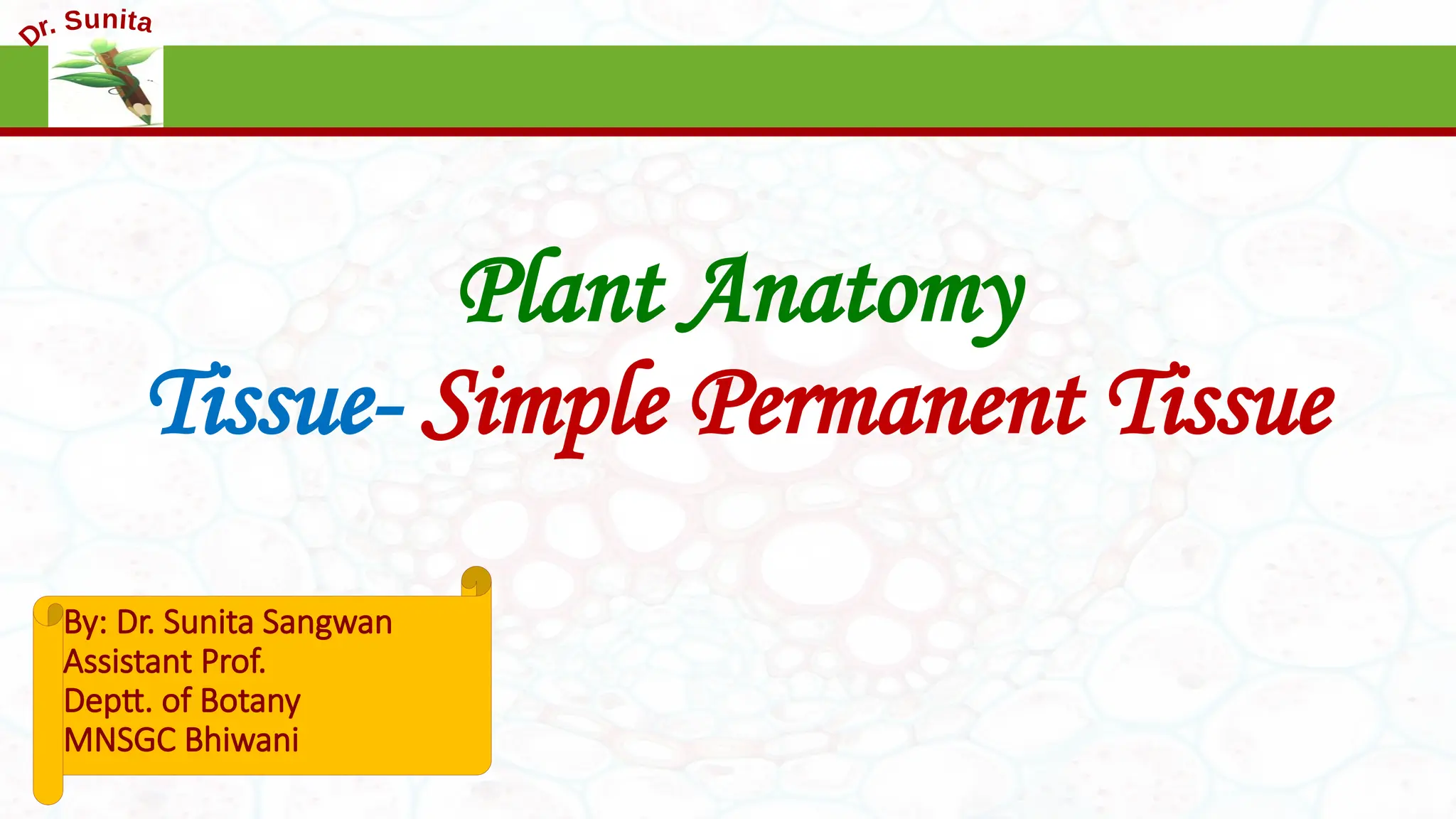 Simple permanent tissue- Parenchyma, Collenchyma and Sclerenchyma | PPTX