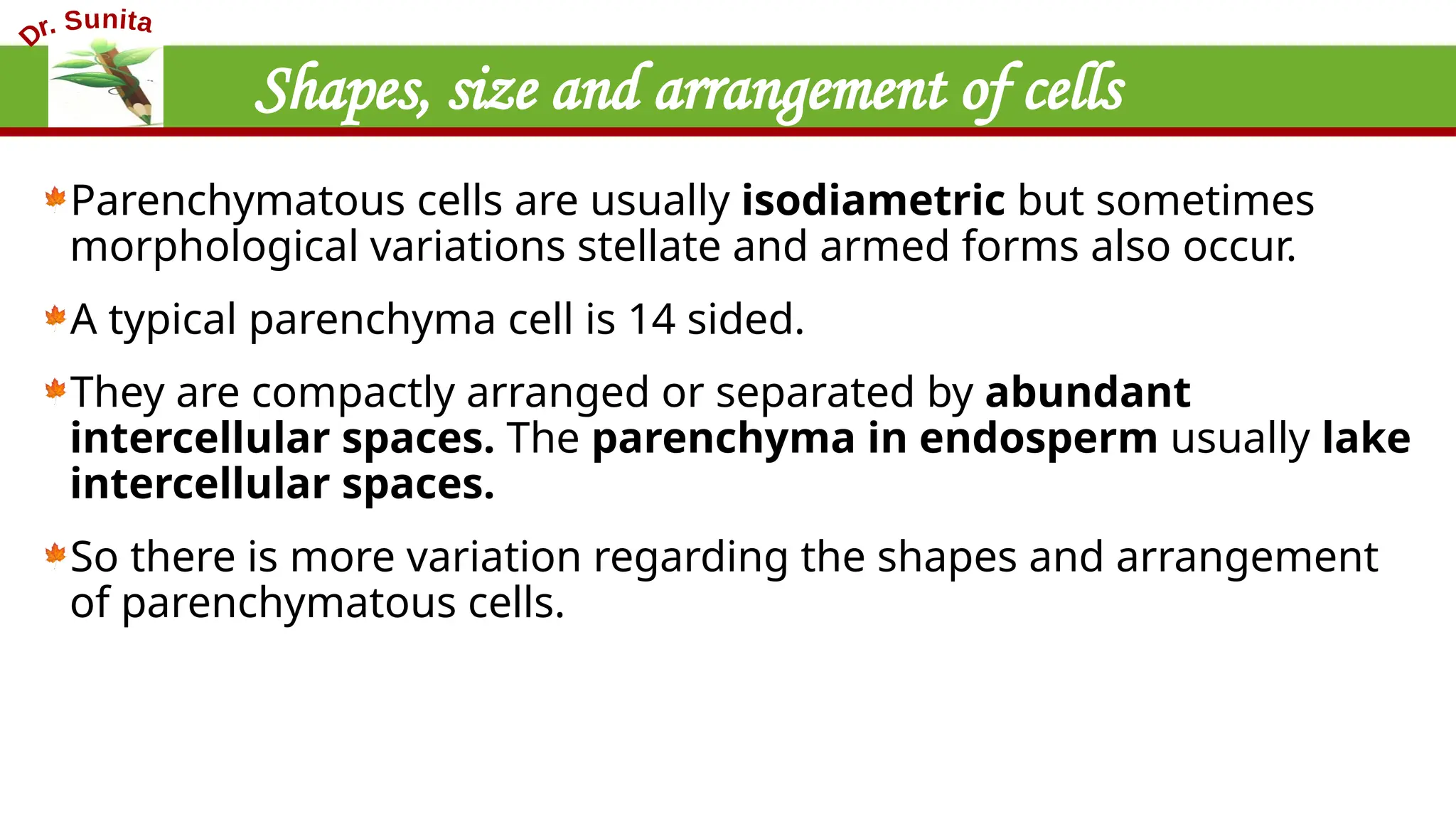 Simple permanent tissue- Parenchyma, Collenchyma and Sclerenchyma | PPTX