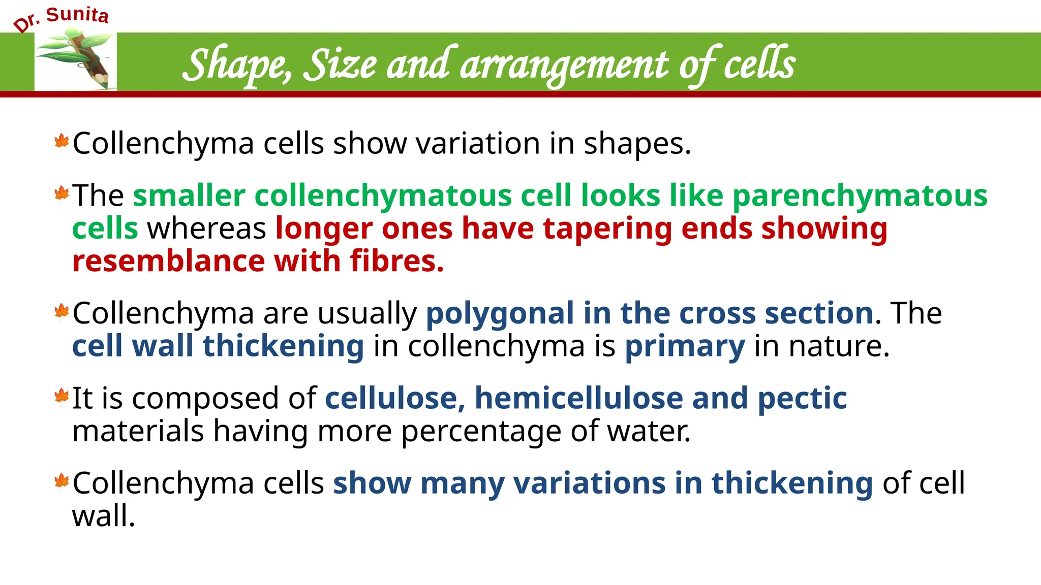 Simple permanent tissue- Parenchyma, Collenchyma and Sclerenchyma | PPTX