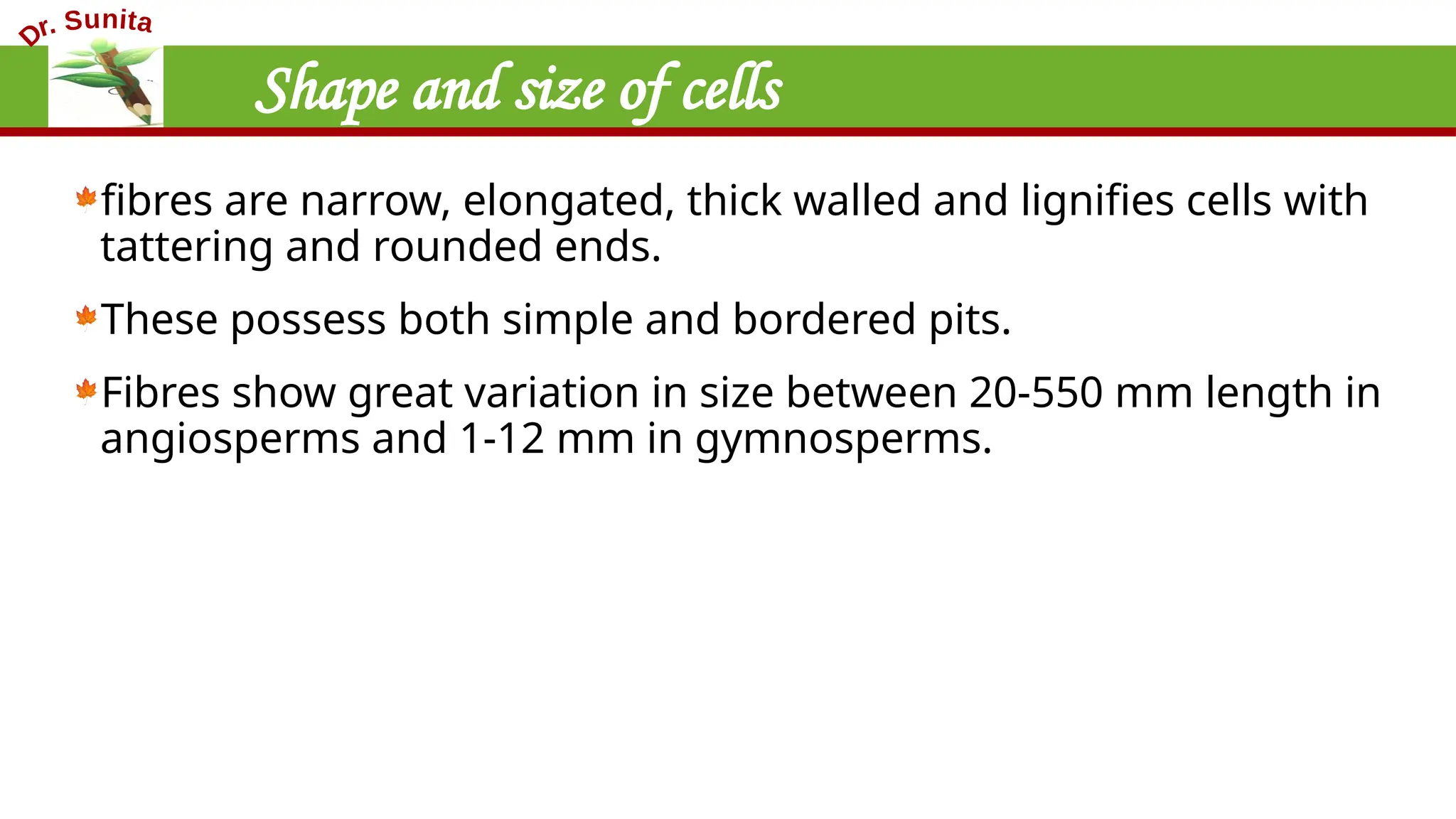 Simple permanent tissue- Parenchyma, Collenchyma and Sclerenchyma | PPTX