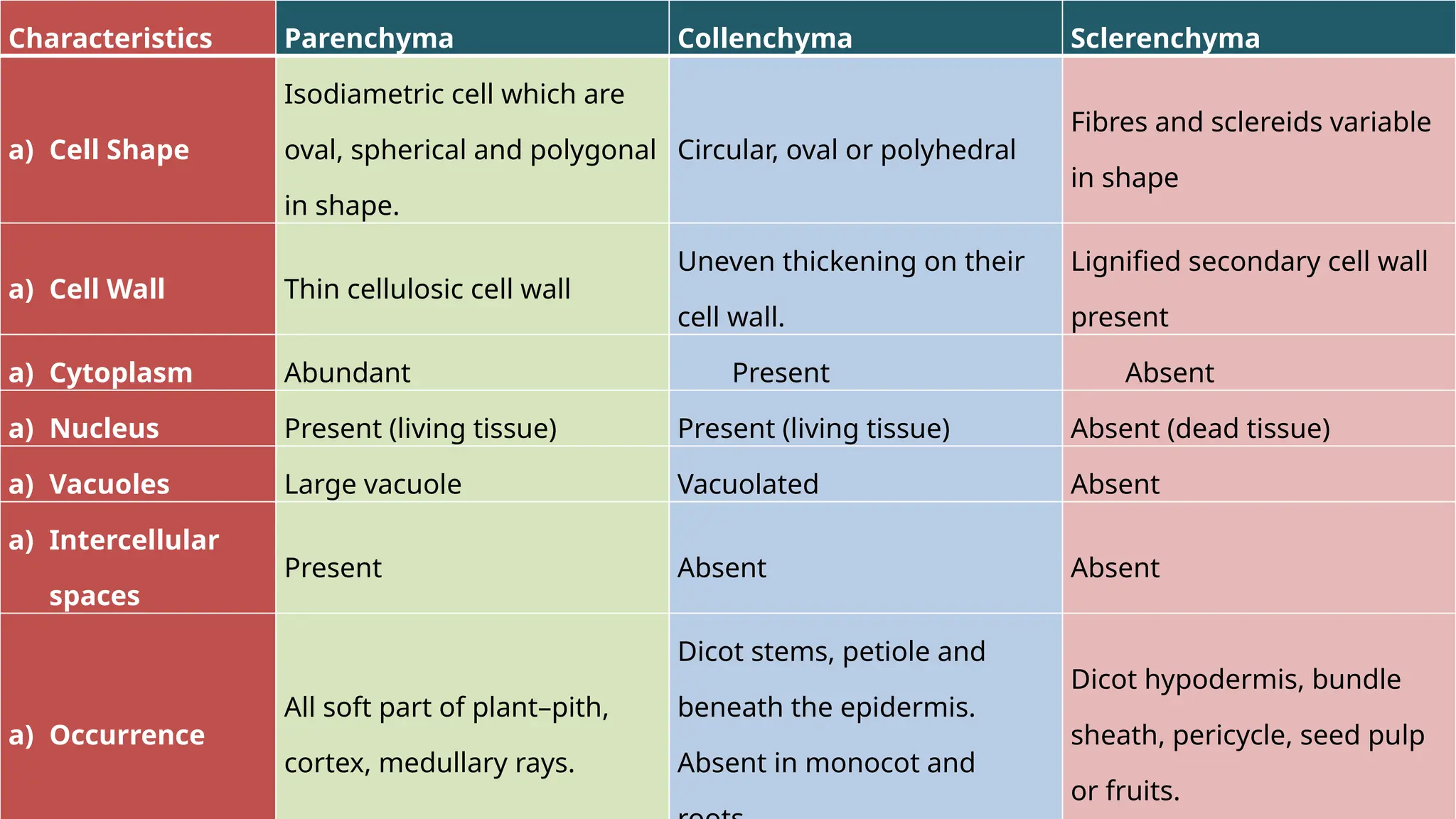 Simple permanent tissue- Parenchyma, Collenchyma and Sclerenchyma | PPTX