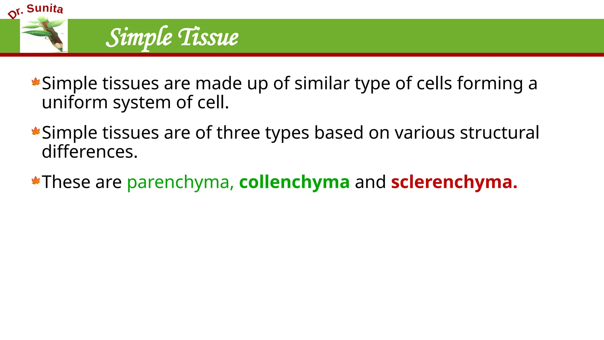 Simple permanent tissue- Parenchyma, Collenchyma and Sclerenchyma | PPTX