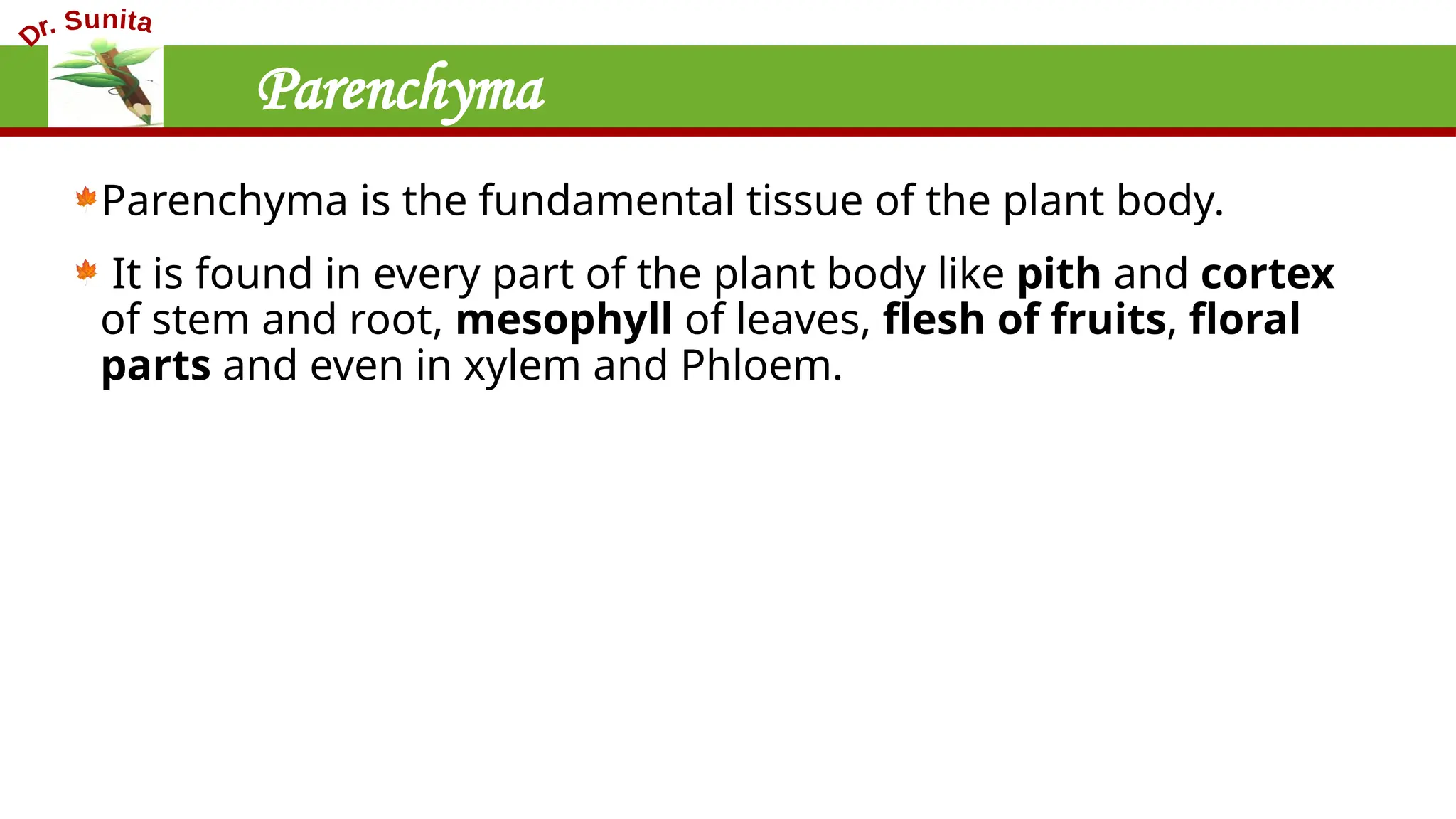 Simple permanent tissue- Parenchyma, Collenchyma and Sclerenchyma | PPTX
