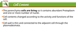 Simple permanent tissue- Parenchyma, Collenchyma and Sclerenchyma | PPTX