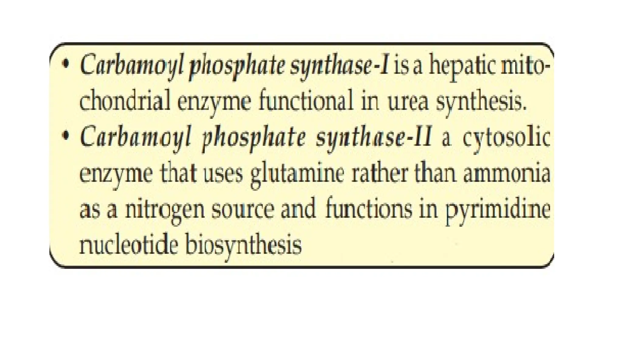 Urea cycle. (protein metabolism) pptx | PPTX