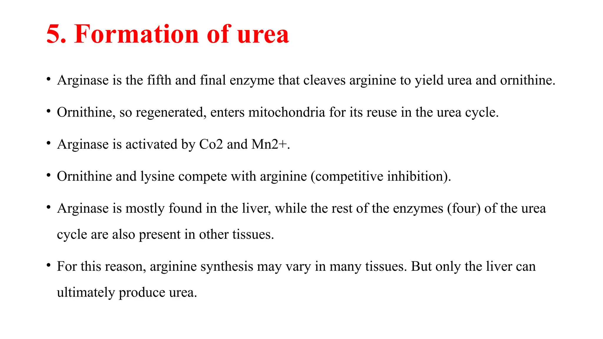 Urea cycle. (protein metabolism) pptx | PPTX | Chemistry | Science