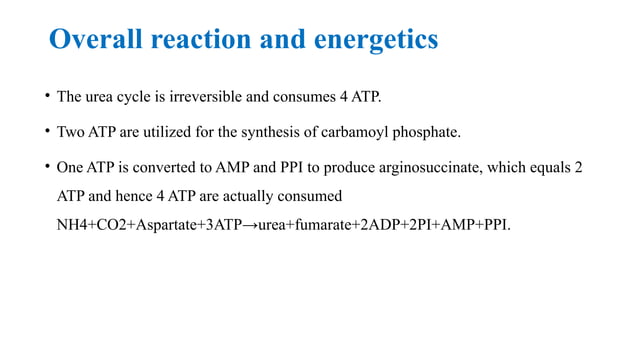 Urea cycle. (protein metabolism) pptx | PPTX | Chemistry | Science