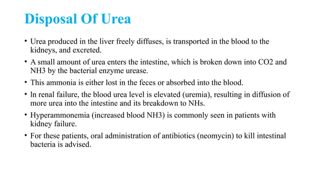 Urea cycle. (protein metabolism) pptx | PPTX | Chemistry | Science