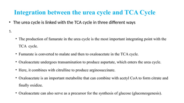 Urea cycle. (protein metabolism) pptx | PPTX | Chemistry | Science