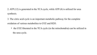 Urea cycle. (protein metabolism) pptx | PPTX