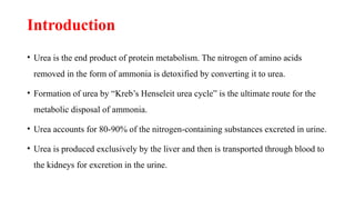 Urea cycle. (protein metabolism) pptx | PPTX