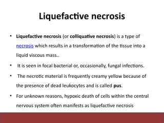 4. necrosis in details. apoptosis also . | PPTX | Blood Disorders ...