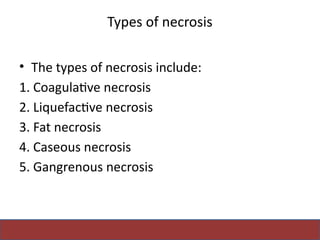 4. necrosis in details. apoptosis also . | PPTX