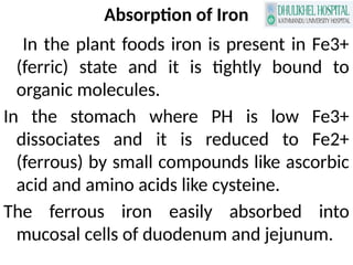 Iron Metabolism for Laboratory medicine and nursing.pptx | Digestive ...