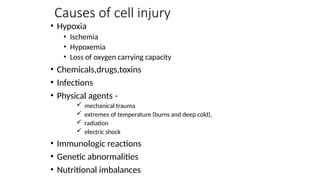 4. Trauma and Cell Injury Modified Remisha.pptx