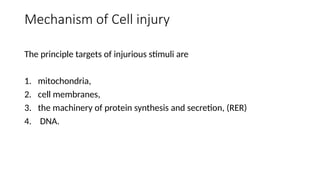 4. Trauma and Cell Injury Modified Remisha.pptx
