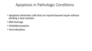 4. Trauma and Cell Injury Modified Remisha.pptx