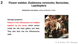 Pests of Mango_Bionomics_Management_Dr.UPR.pdf