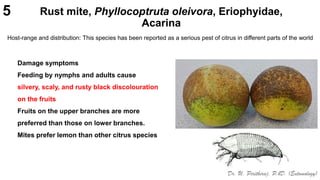 Pests of Citrus_Identification_Management_Dr.UPR.pdf