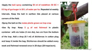 Pests of Sapota_Identification_IPM_Dr.UPR.pdf