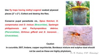 Pests of Sapota_Identification_IPM_Dr.UPR.pdf