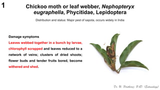 Pests of Sapota_Identification_IPM_Dr.UPR.pdf