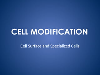 4.-CELL-MODIFICATION.pptxHJDJDJKJFFKJFKJ | PPTX | Biological Sciences | Science