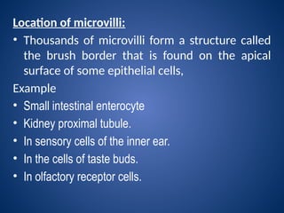 4.-CELL-MODIFICATION.pptxHJDJDJKJFFKJFKJ | PPTX