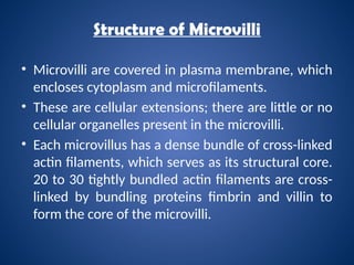 4.-CELL-MODIFICATION.pptxHJDJDJKJFFKJFKJ | PPTX | Biological Sciences ...