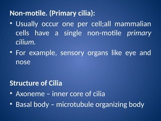 4.-CELL-MODIFICATION.pptxHJDJDJKJFFKJFKJ | PPTX