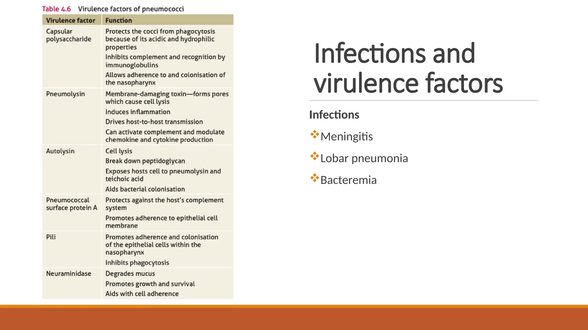 4.Systematicbacteriology(A