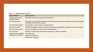 4.Systematicbacteriology(A