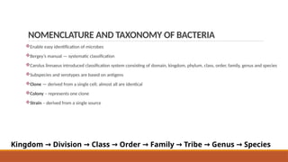 4.Systematicbacteriology(A