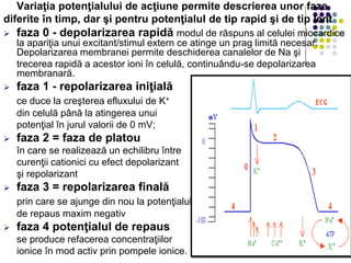 4. Aritmiile cardiace123babxhxbsbsbb.pdf