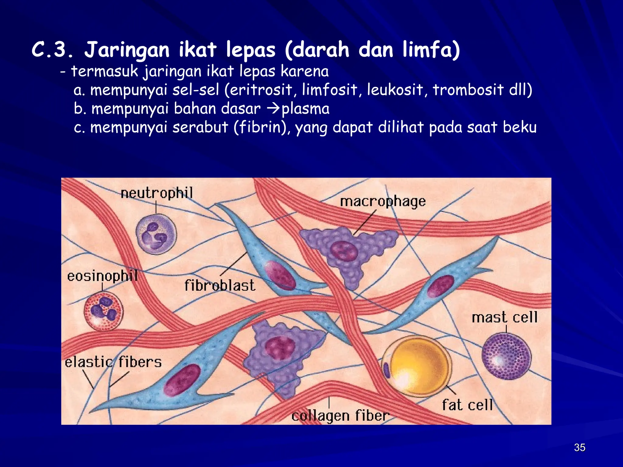 Struktur Tubuh manusia (Biologi Manusia) | PPT