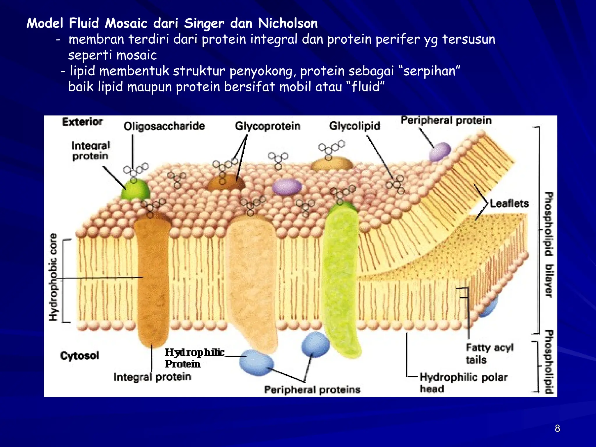 Struktur Tubuh manusia (Biologi Manusia) | PPT