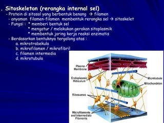 Struktur Tubuh manusia (Biologi Manusia) | PPT