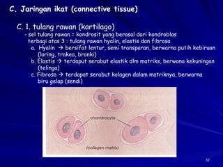 Struktur Tubuh manusia (Biologi Manusia) | PPT