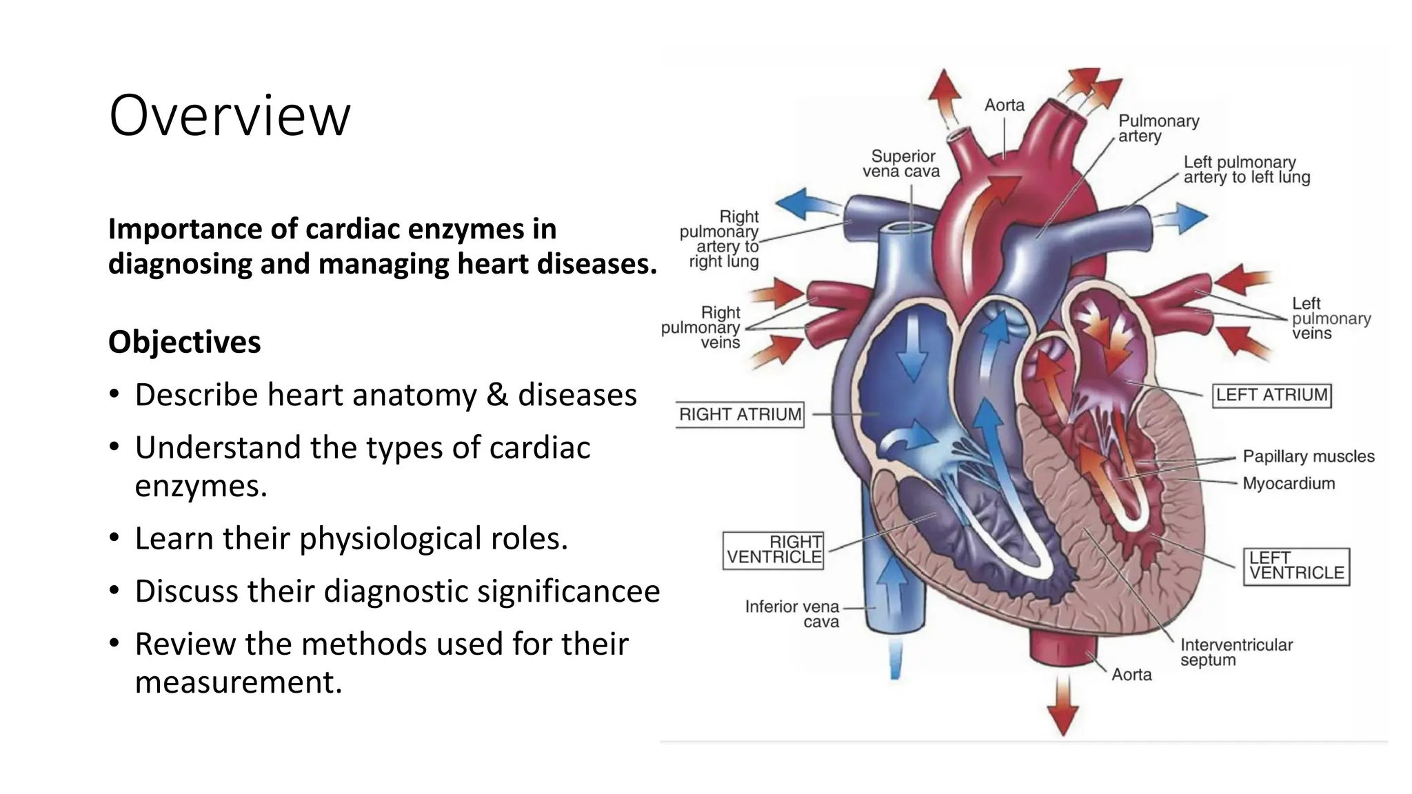 4.Cardiac Enzymes and protein in heart disease | PPT