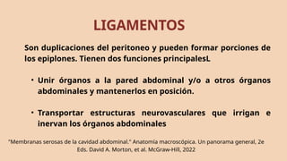 Anatomía del peritoneo: descripcion de funciones.pptx