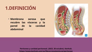 Anatomía del peritoneo: descripcion de funciones.pptx