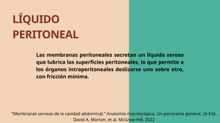 Anatomía del peritoneo: descripcion de funciones.pptx