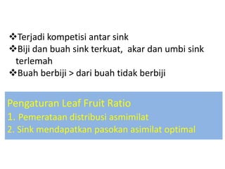 4. Rekayasa Source dan Sink tanaman(2).pdf