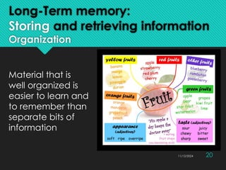 Information Processing Model for Unerstanding Consumer Learning | PPTX | Data Storage and ...