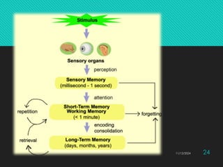 Information Processing Model for Unerstanding Consumer Learning | PPTX ...